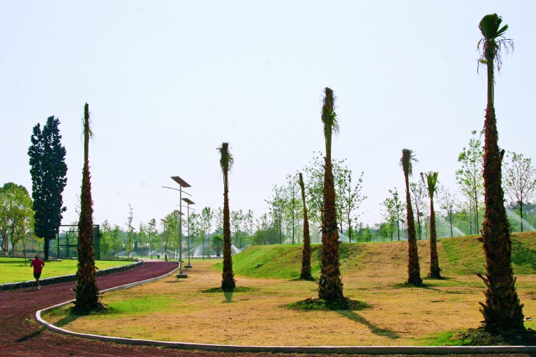 Parque Bicentenario - Máspormás