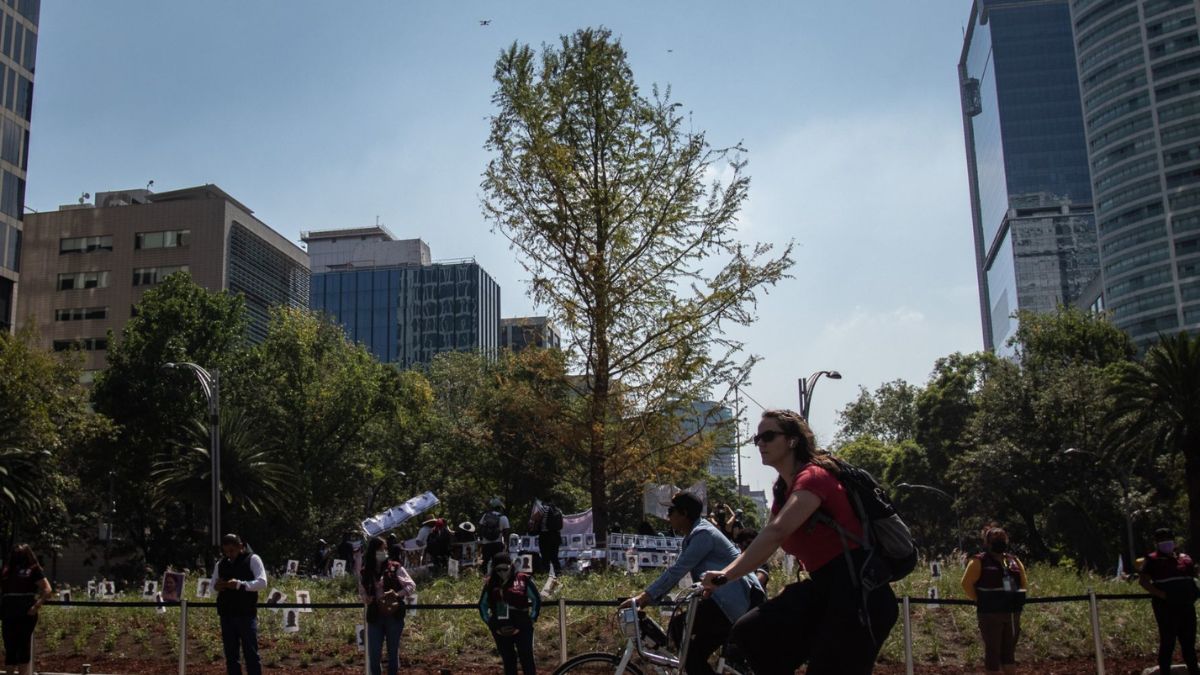 La glorieta de Reforma ya tiene a su nuevo inquilino: El ahuehuete ...