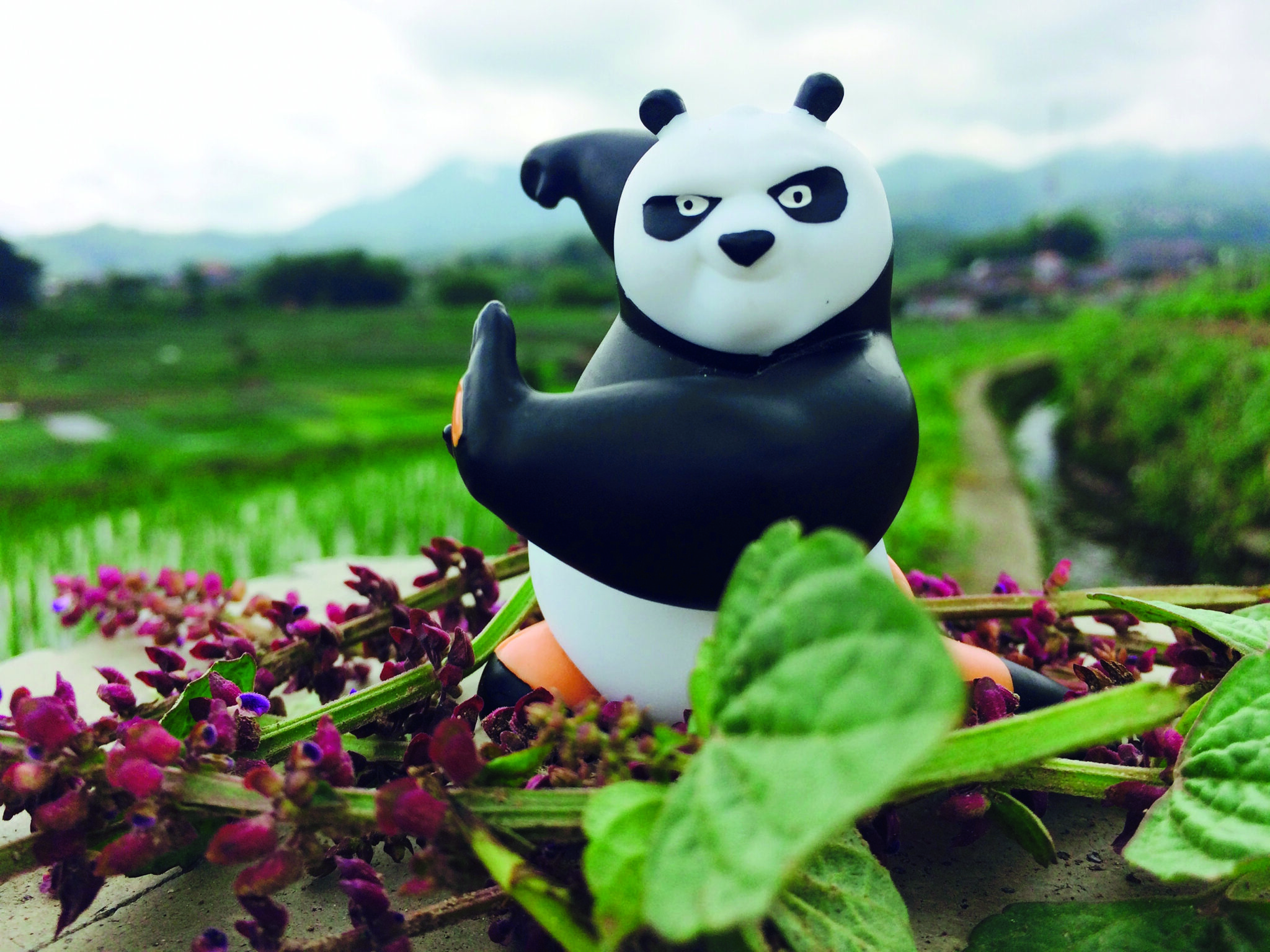 La resistencia a salir de la zona de confort a través del oso Po ...