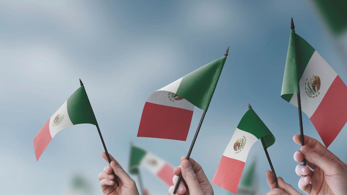 De las ONG para Sheinbaum: 34 agendas a favor de México - Máspormás